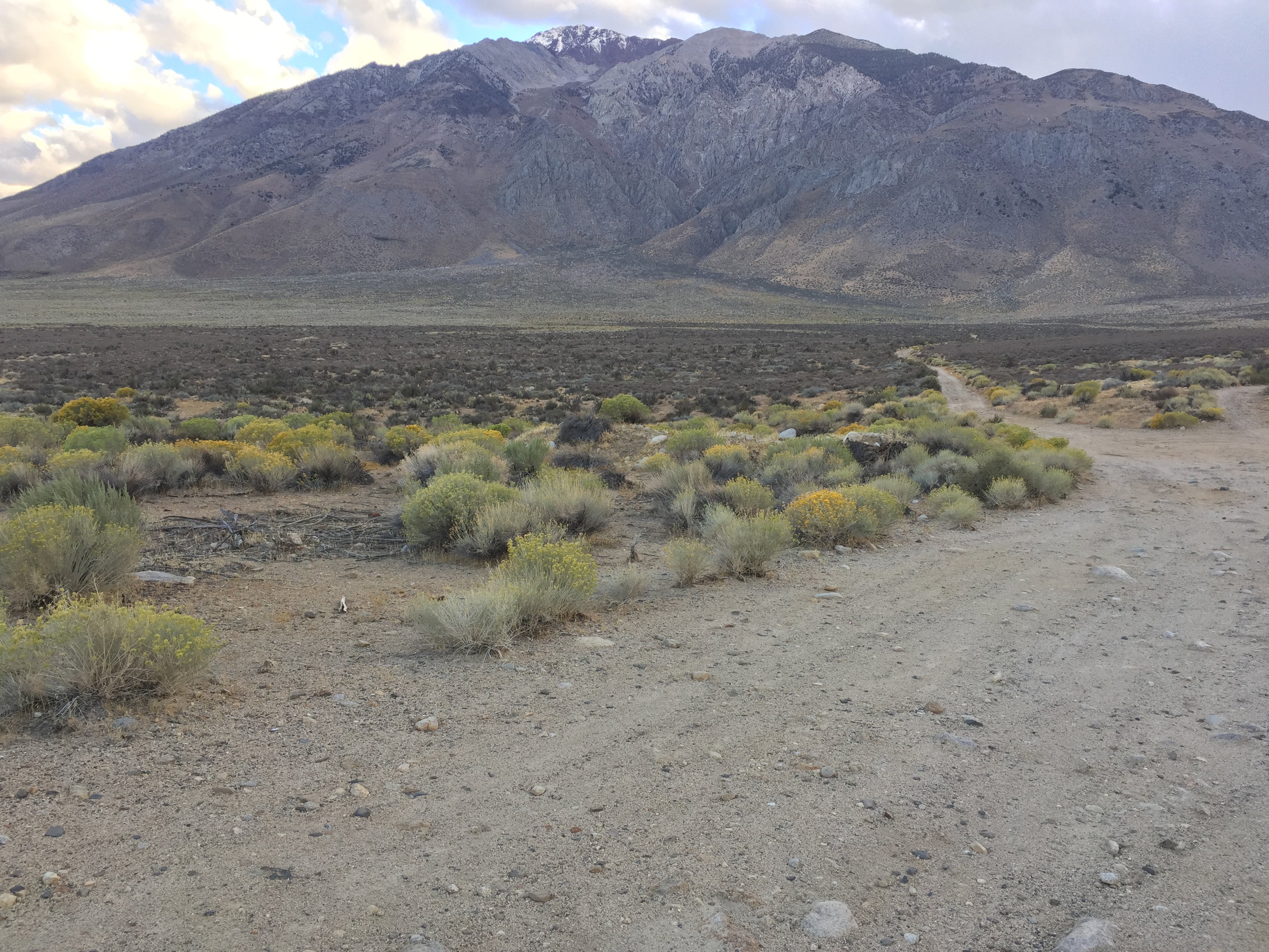 Round Valley 6-mile Loop – sagetosummit