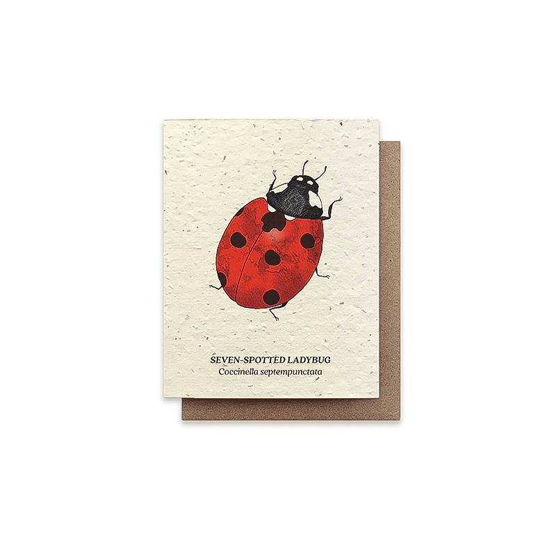 Small Victories Seven-Spotted Ladybug Plantable Wildflower Seed Card ...
